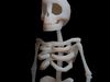 3D model Skeleton Joe VR / AR / low-poly | CGTrader
