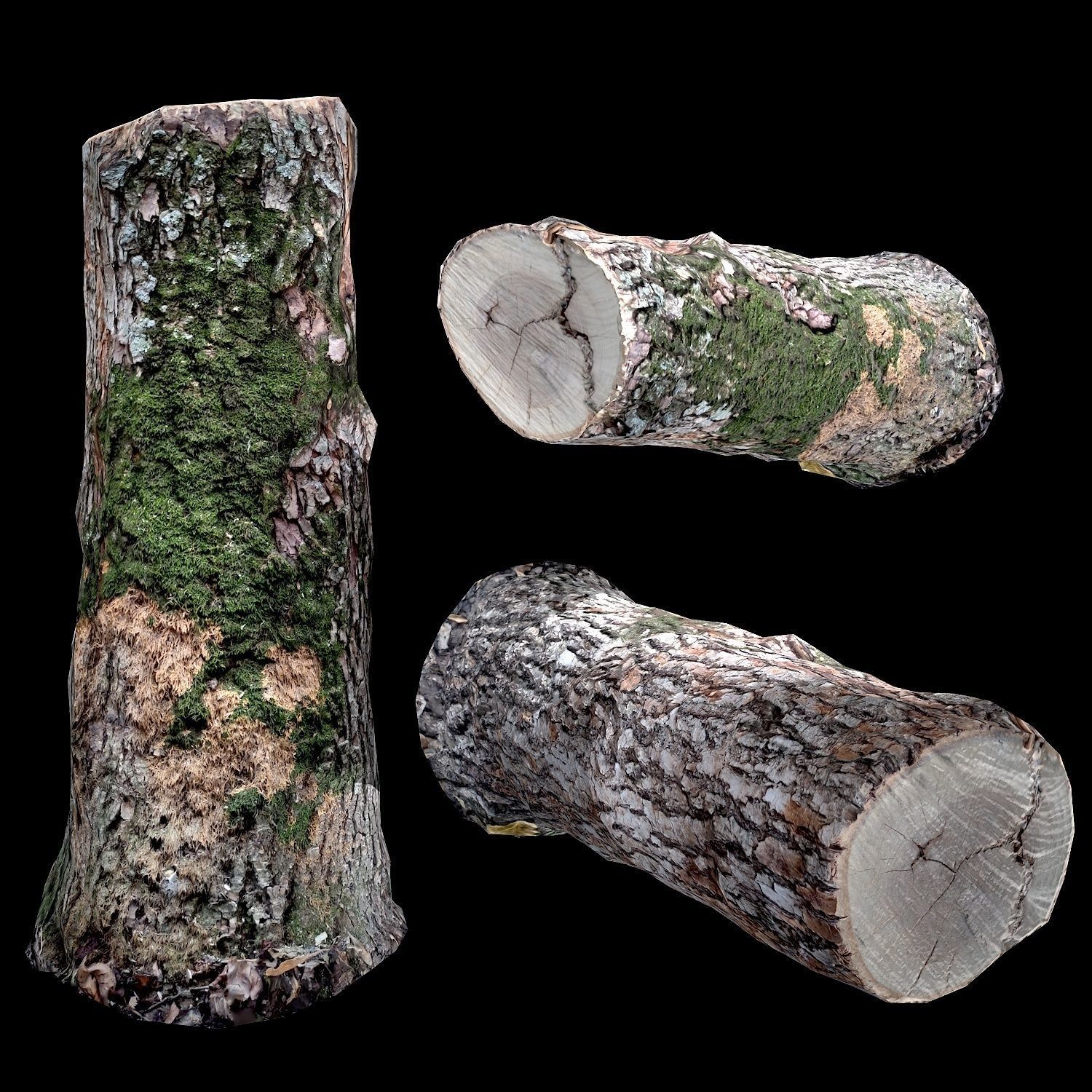 3D model stump 3d street photogrammetry 4k for alley way game ready VR ...