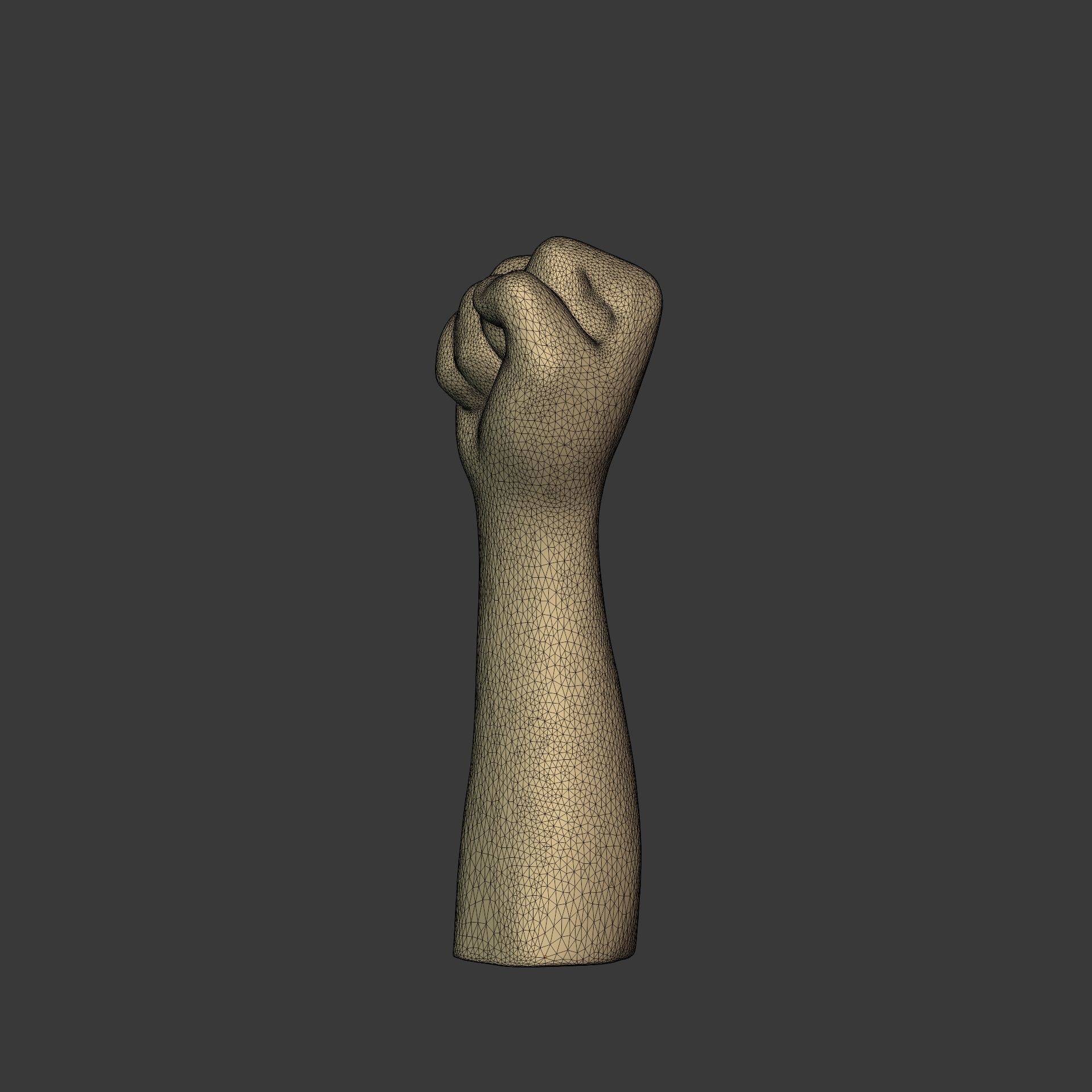 Cartoon Hand -- Fist sign 3D model | CGTrader