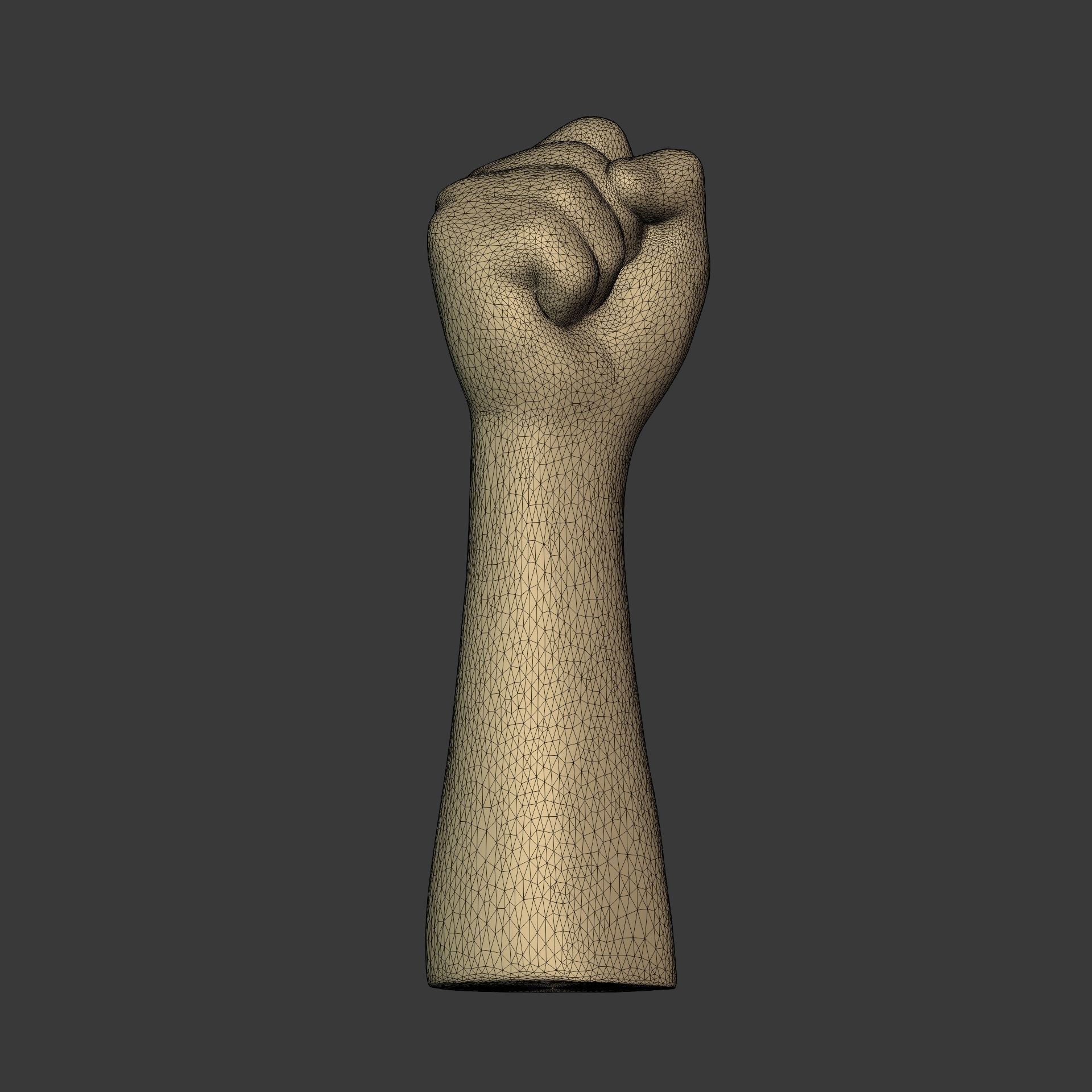 Cartoon Hand -- Fist sign 3D model | CGTrader