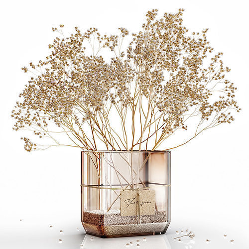 Dry flowers 6 3D model | CGTrader