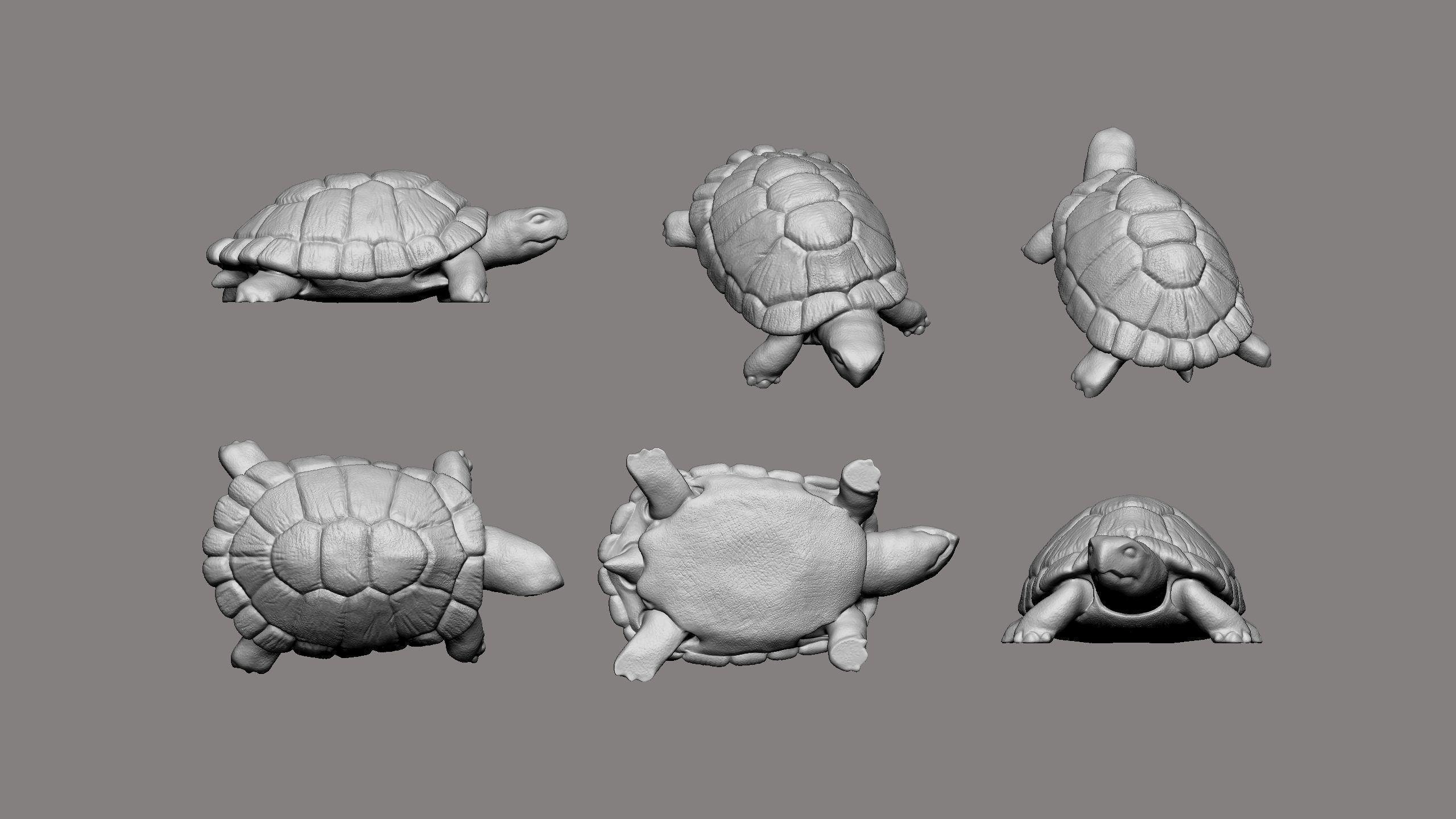 Tortoise toy turtle 3D model 3D printable | CGTrader