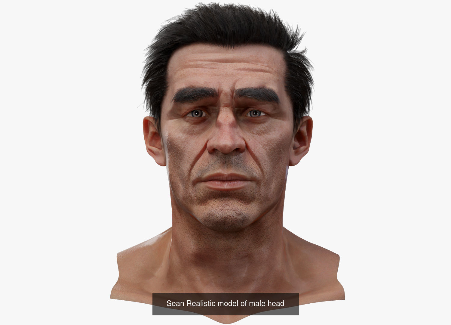 3D Model Collection 5 realistic models of heads 3D model VR / AR / low ...