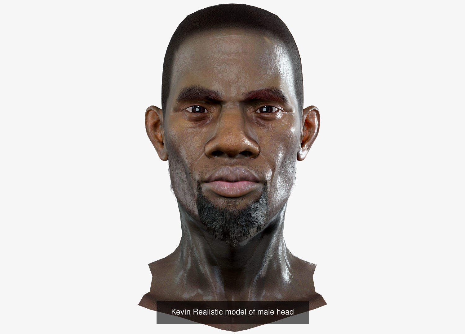 3D Model Collection 5 realistic models of heads 3D model VR / AR / low ...