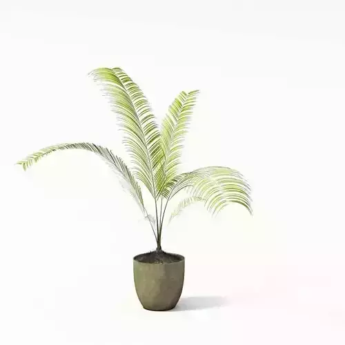 Leaf Potted Plant 3D model | CGTrader