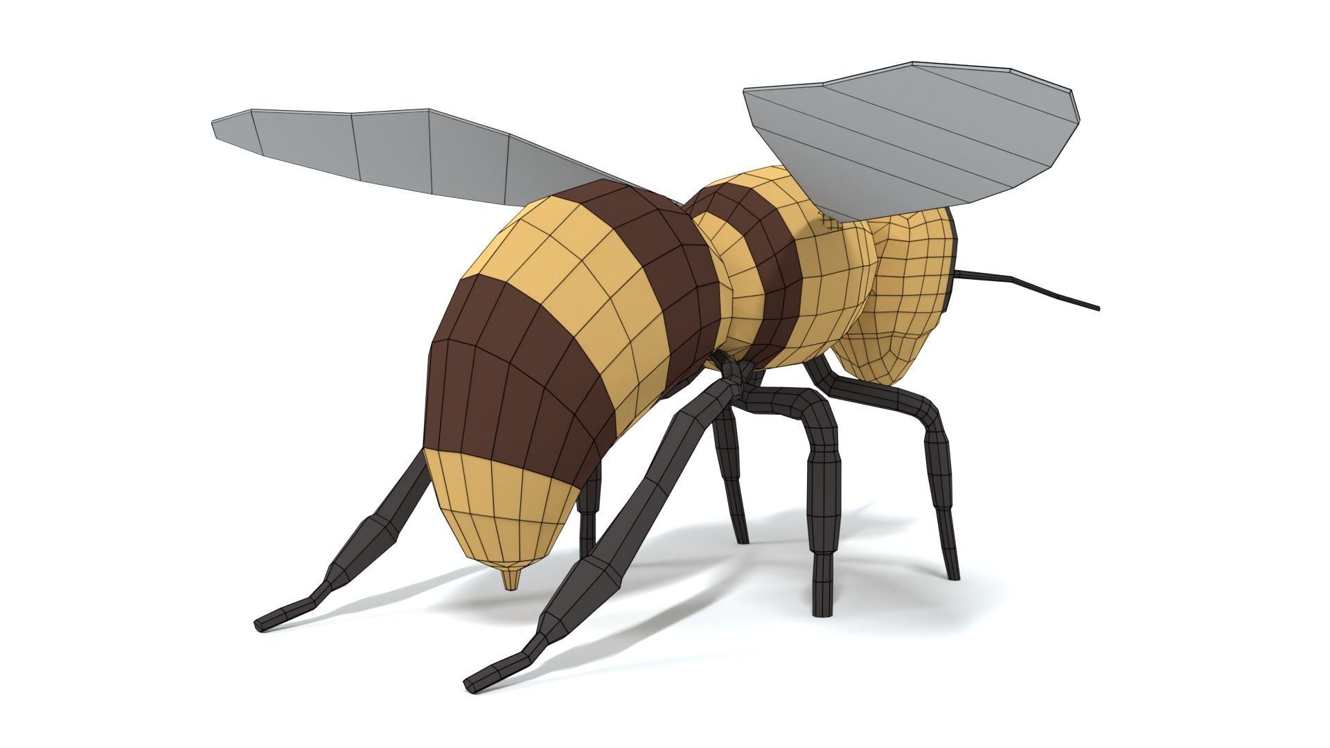 3D model Low Poly Cartoon Honey Bee VR / AR / low-poly | CGTrader