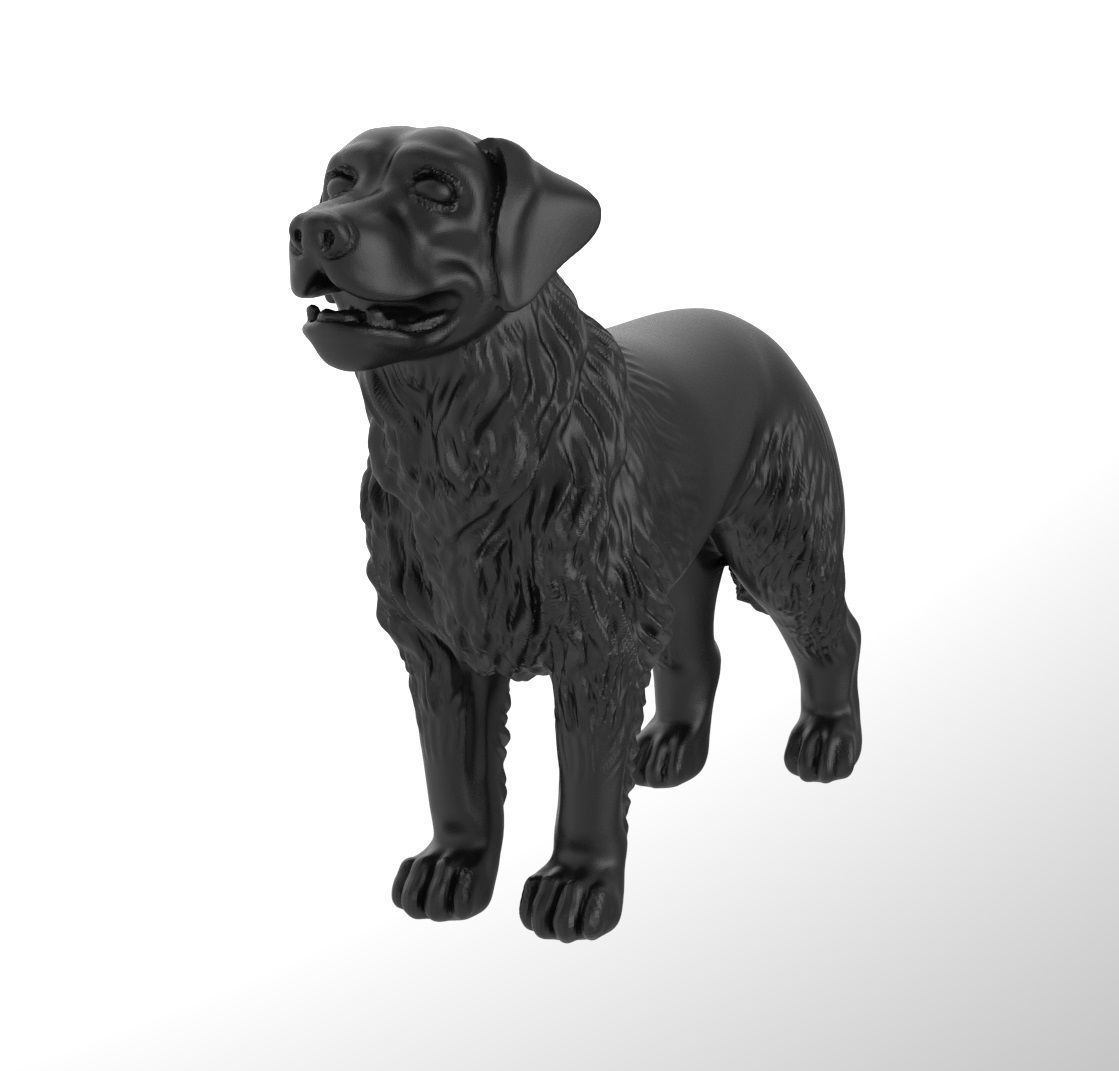 Labrador 3D print model 3D model 3D printable | CGTrader