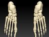 Human foot 3D model human foot structure 3D printing model 3D model 3D ...