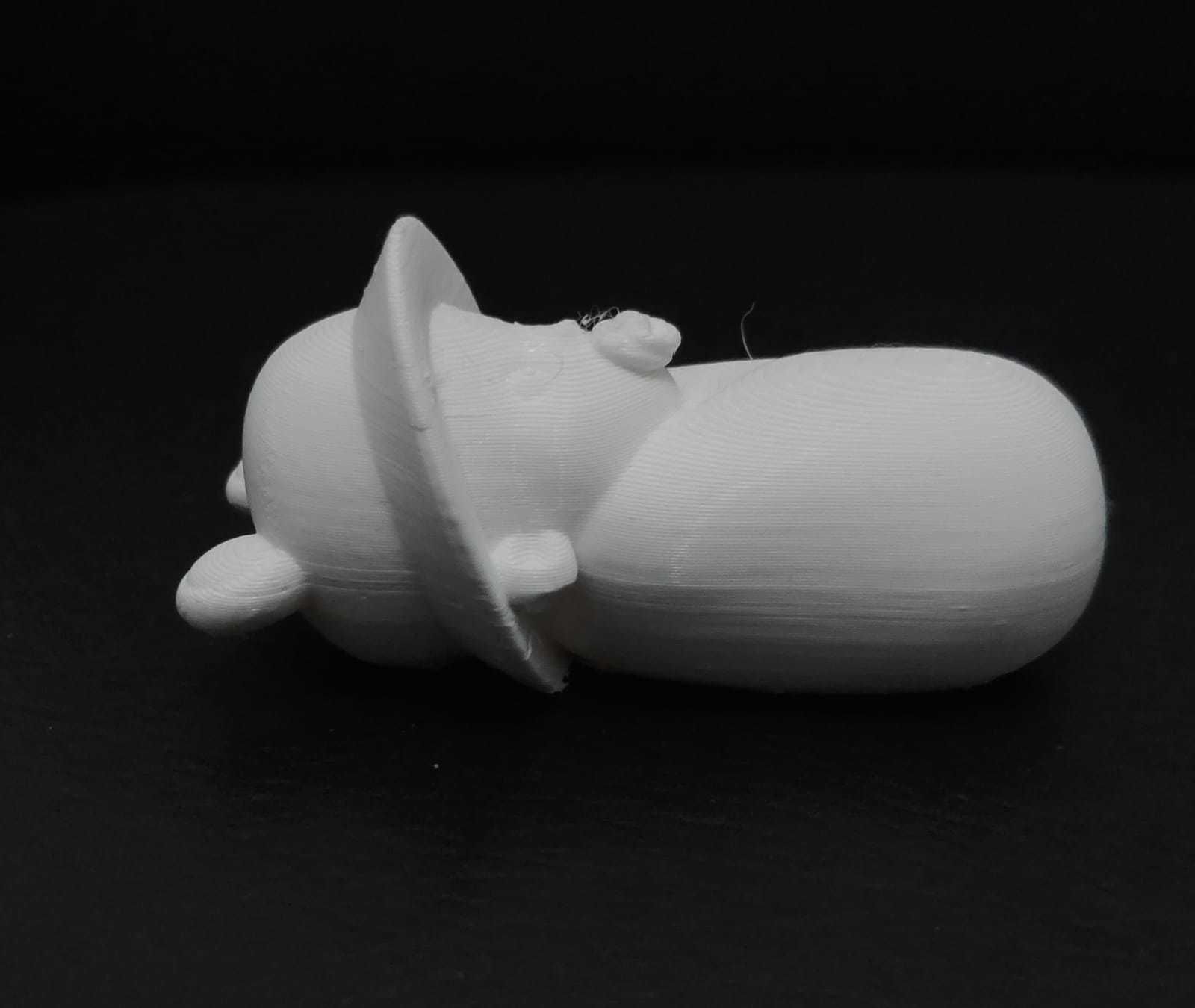 Baby Frog Hat 3D model 3D printable | CGTrader