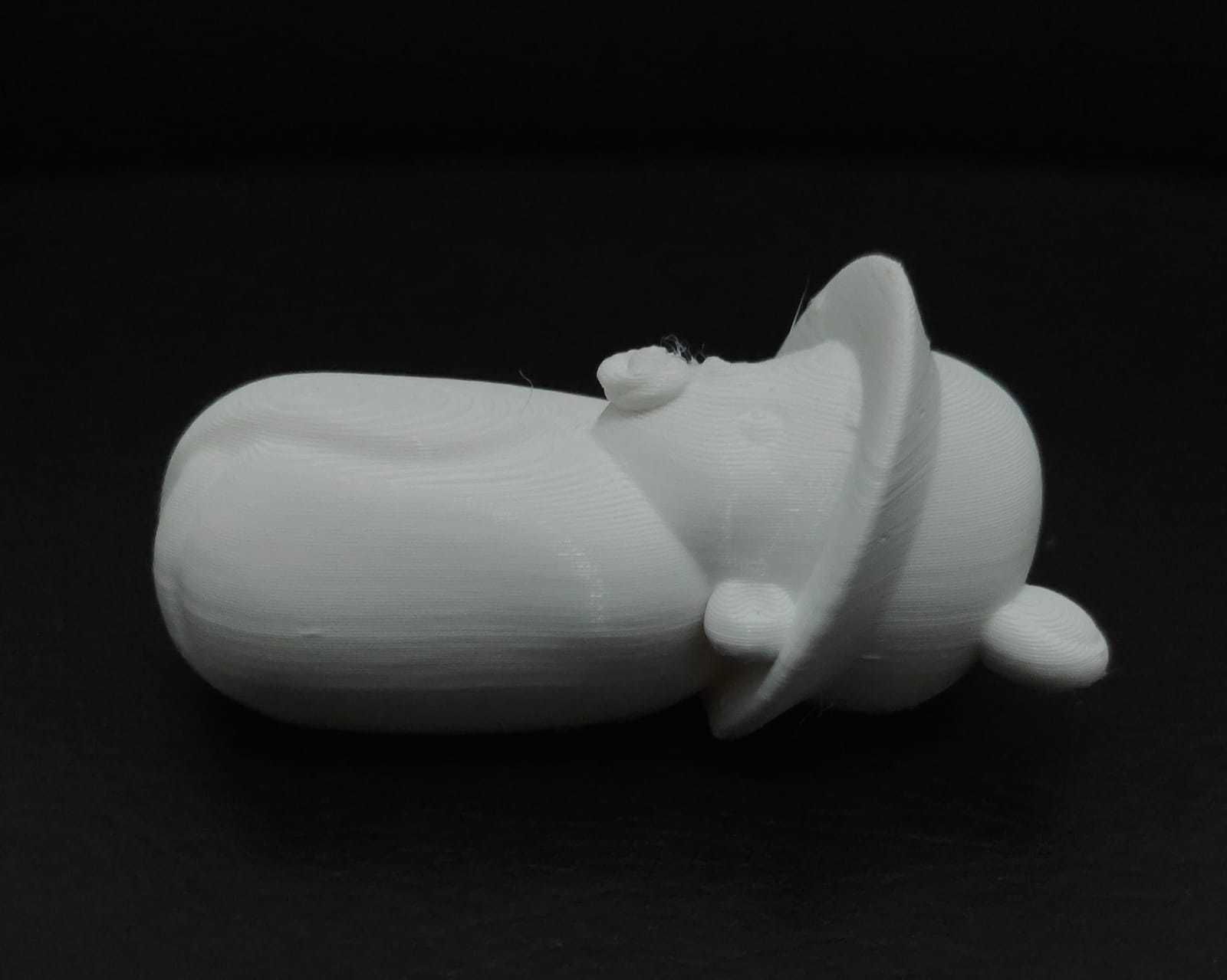 Baby Frog Hat 3D model 3D printable | CGTrader