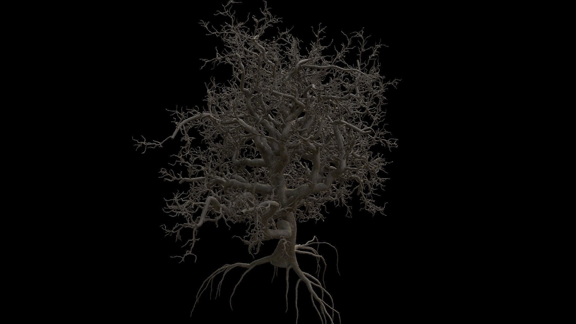 Spooky tree with pbr textures 3D model | CGTrader