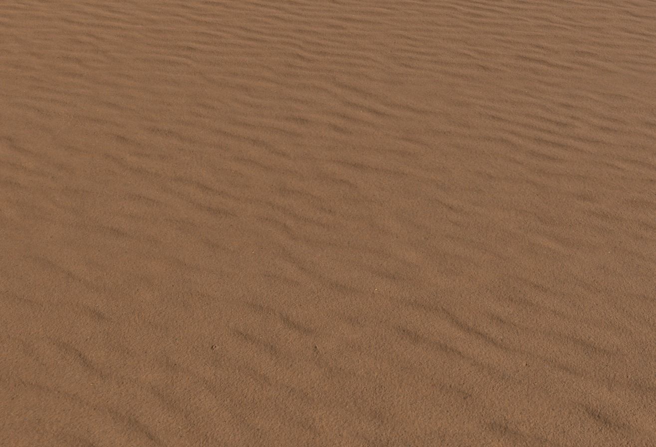 Seamless Rippled Darken Desert Sand Texture | CGTrader