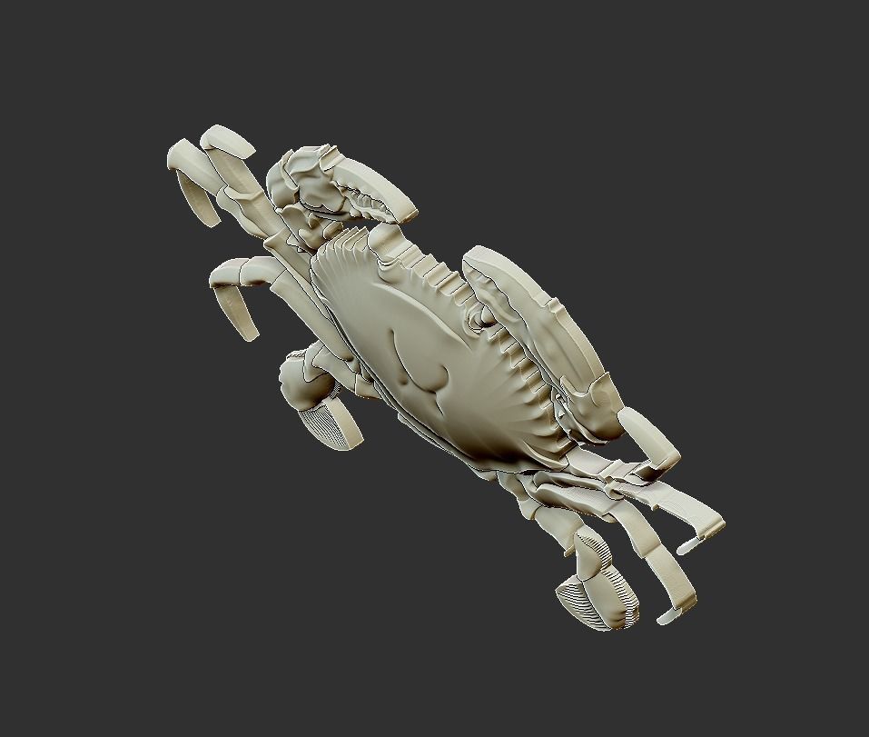 a crab 3D model 3D printable | CGTrader