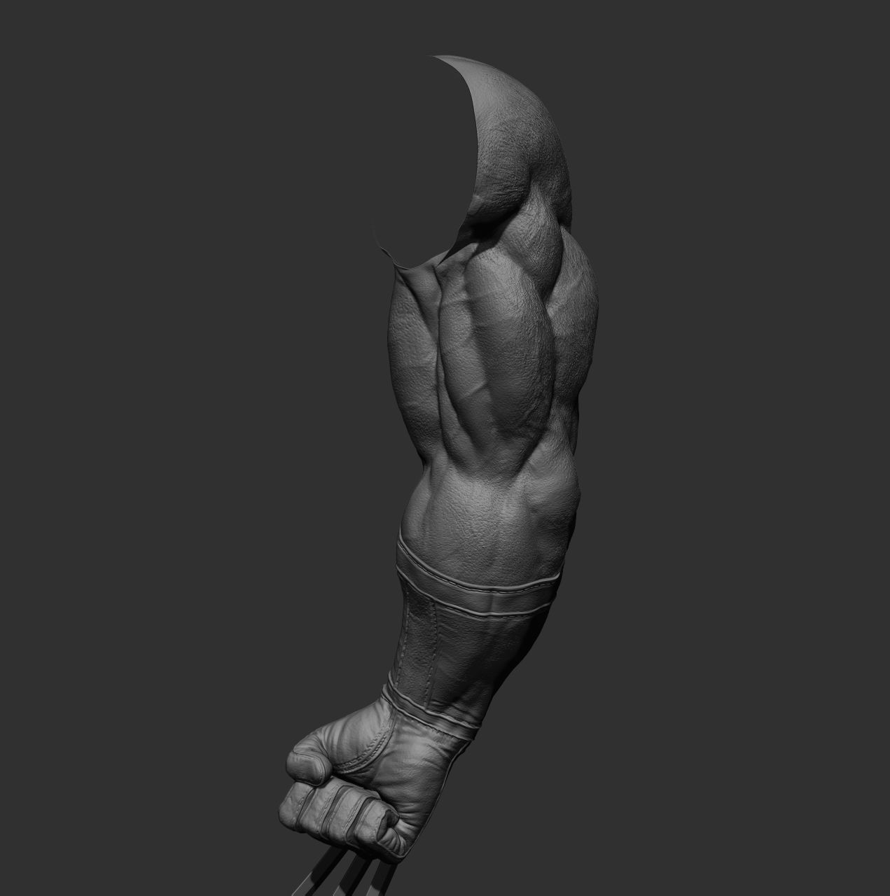 Wolverine arm free 3D model | CGTrader