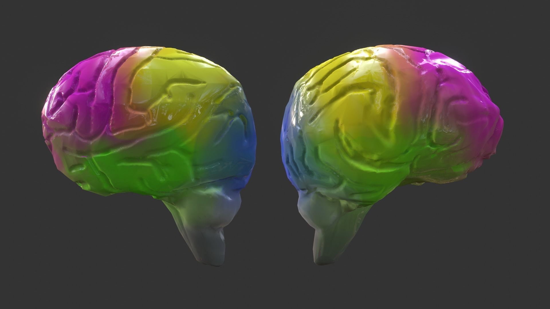 3D model low poly brain anatomy VR / AR / low-poly | CGTrader