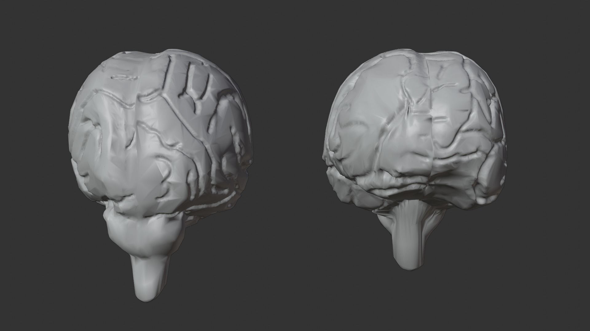3D model low poly brain anatomy VR / AR / low-poly | CGTrader