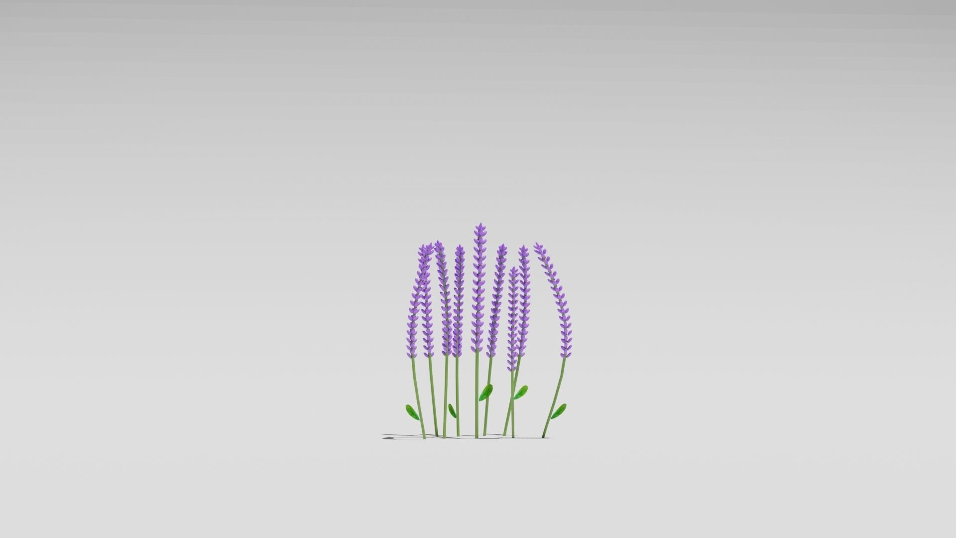 3D model lavender flower VR / AR / low-poly | CGTrader