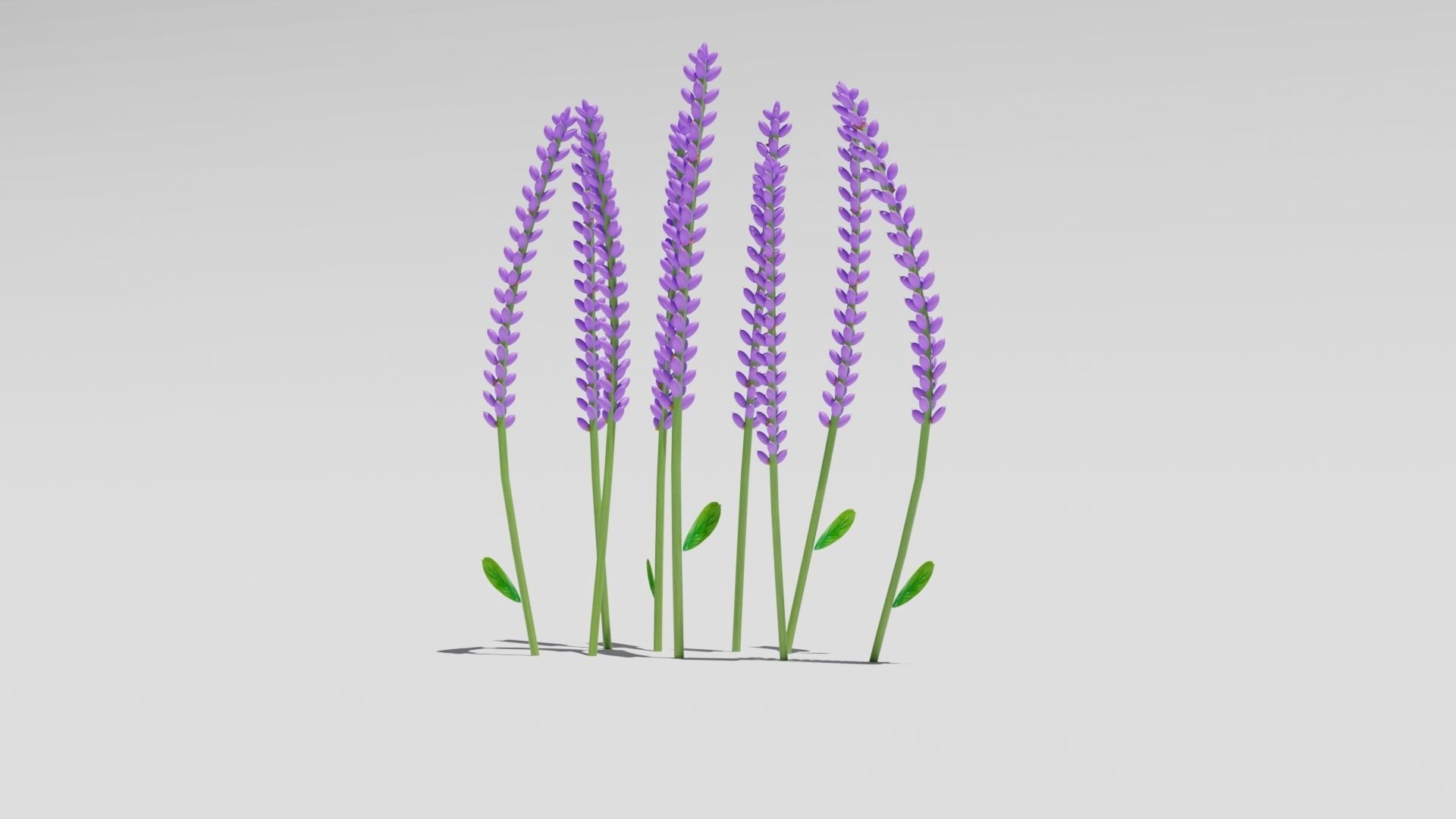 3D model lavender flower VR / AR / low-poly | CGTrader