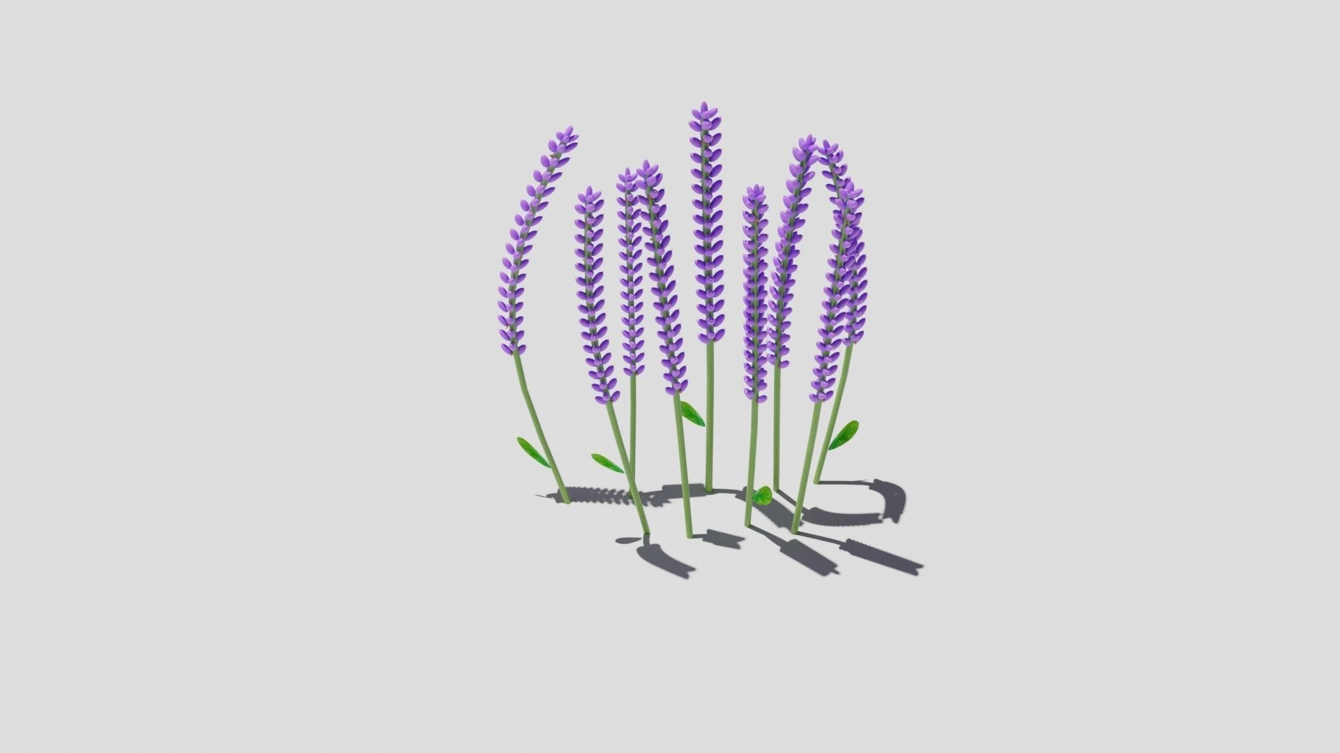 3D model lavender flower VR / AR / low-poly | CGTrader