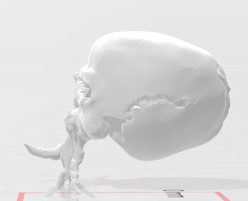 SQUID SKULL 3D model 3D printable | CGTrader