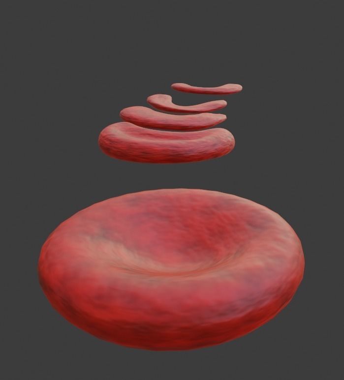 3D model Sickle Cells VR / AR / low-poly | CGTrader
