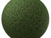Texture grass texture VR / AR / low-poly | CGTrader