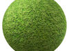 Texture grass texture VR / AR / low-poly | CGTrader