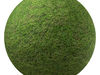 Texture grass texture VR / AR / low-poly | CGTrader