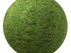 Texture grass texture VR / AR / low-poly | CGTrader