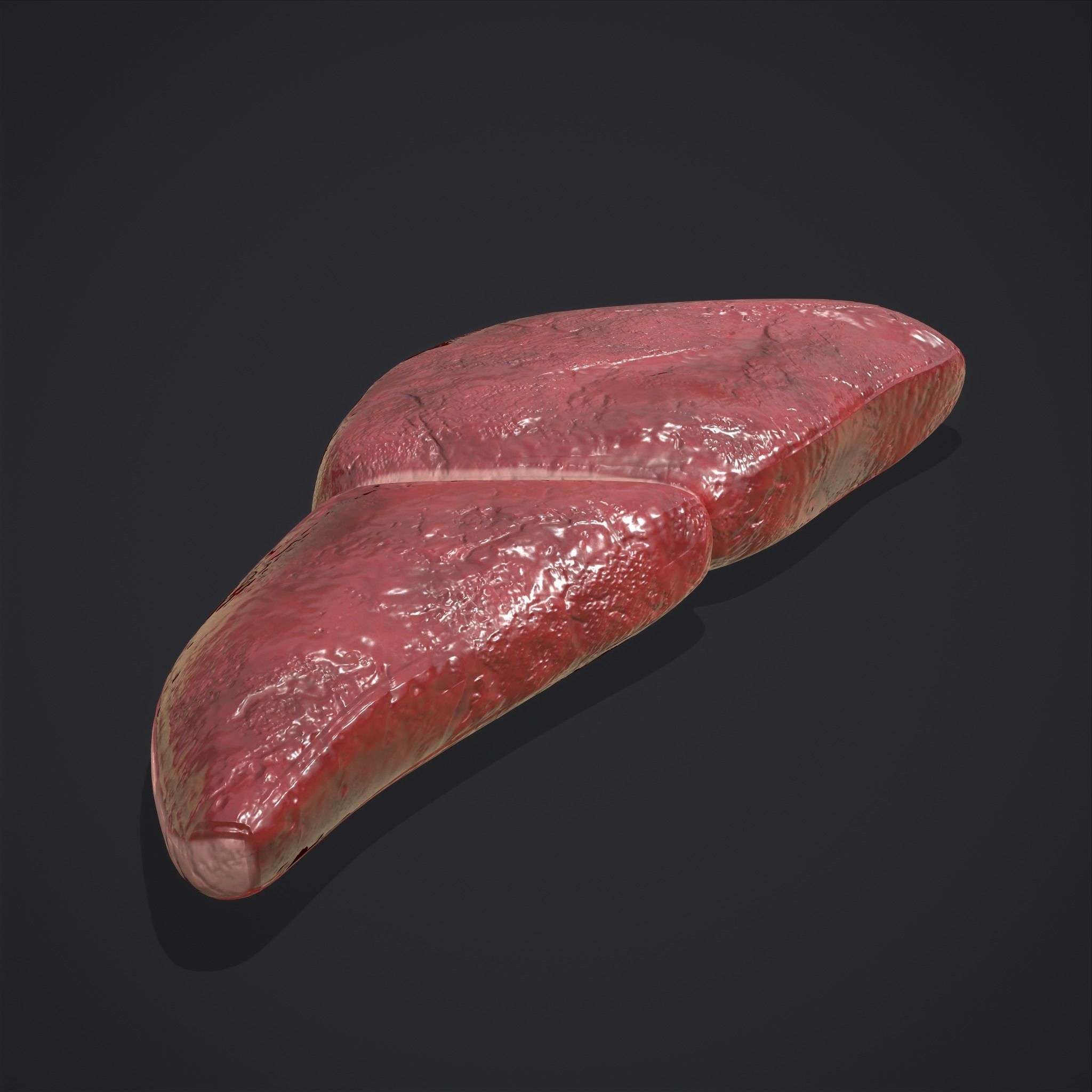 3D model Human Liver VR / AR / low-poly | CGTrader