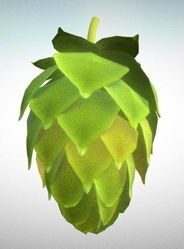 3D model Hop low-poly VR / AR / low-poly | CGTrader