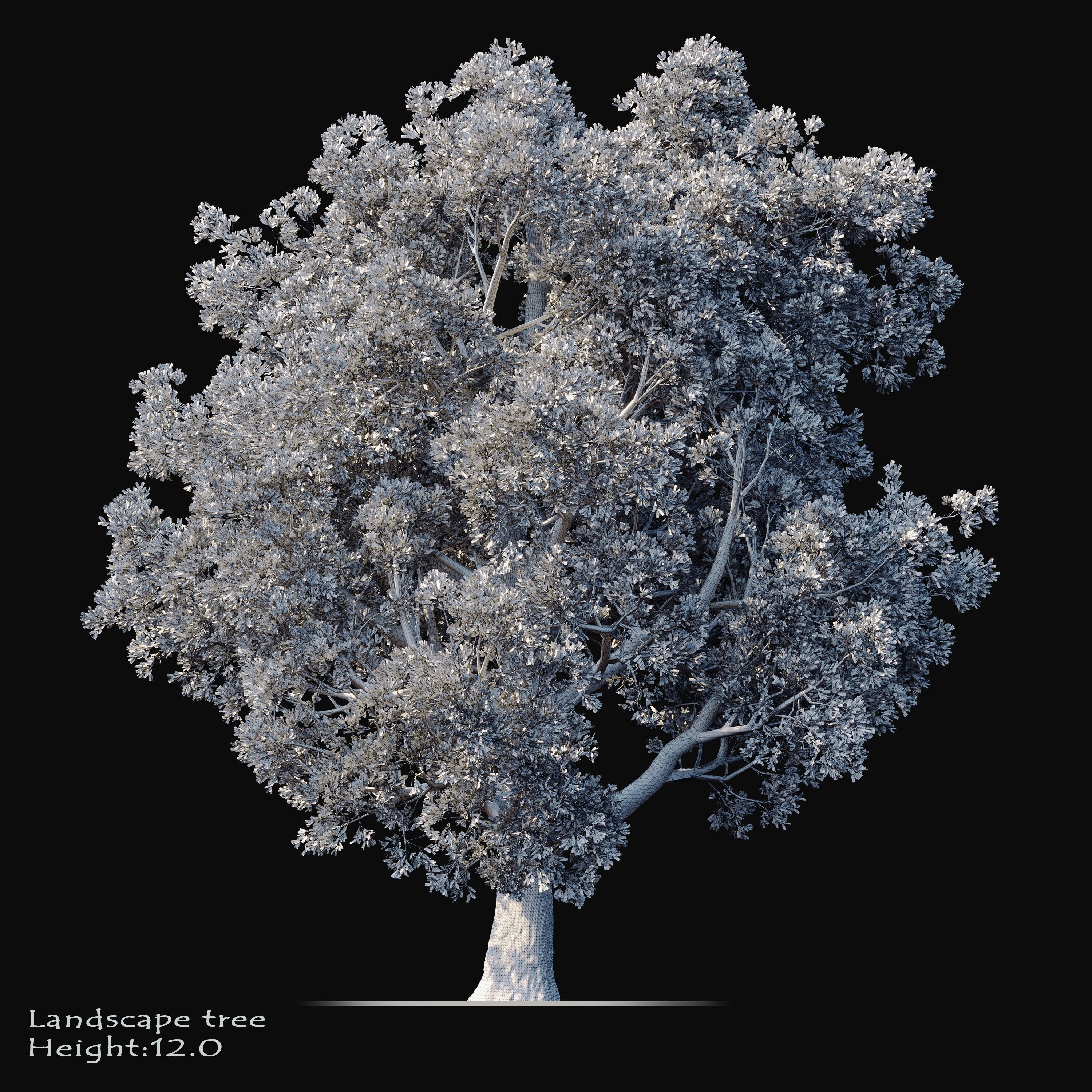 Big tree 3D model | CGTrader