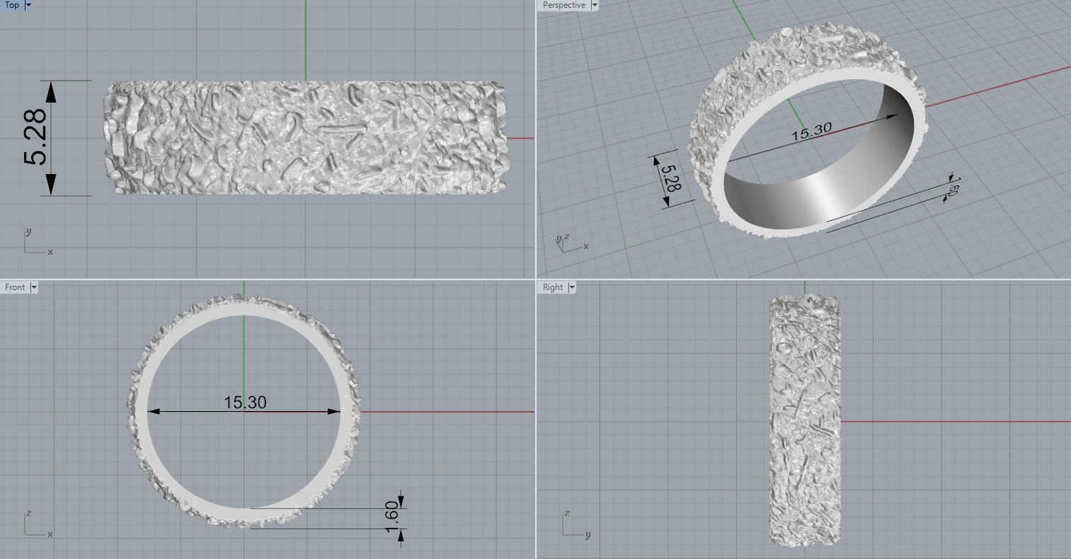 Ring Gold Texture 3D model 3D printable | CGTrader