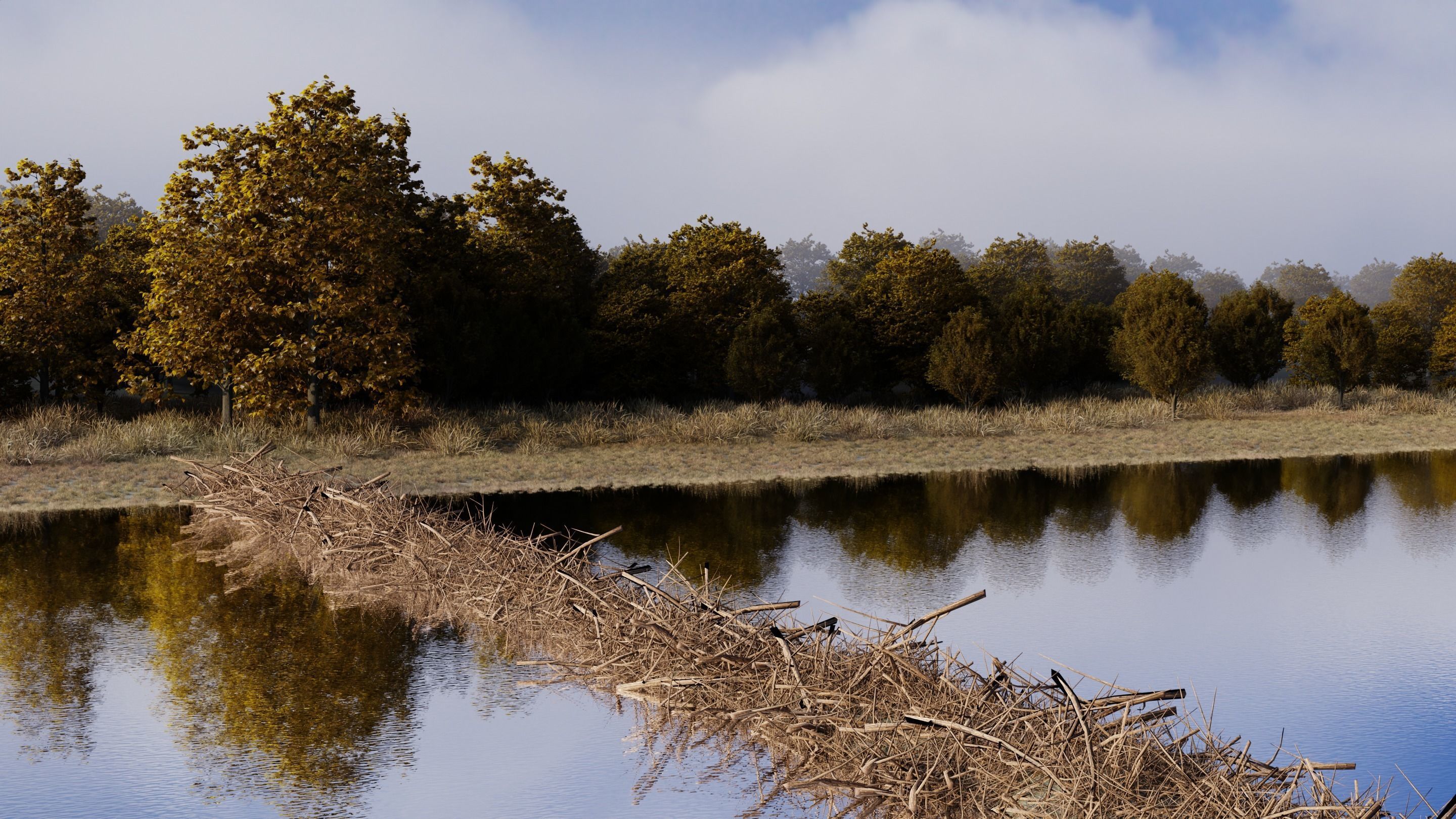 blender FBX Forest realistic scene 3D model | CGTrader