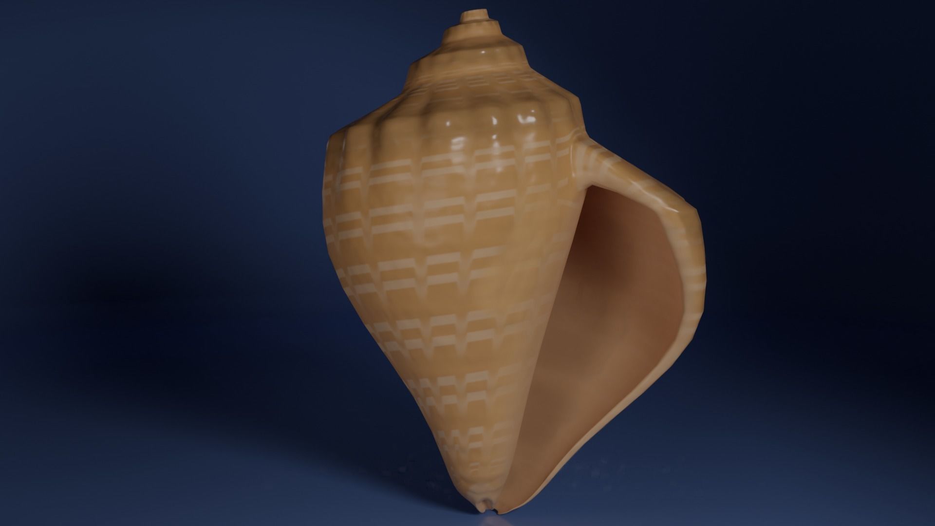 3D model Spiral Mollusk Sea Shell VR / AR / low-poly | CGTrader