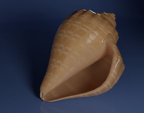 Shell 3D Models | CGTrader