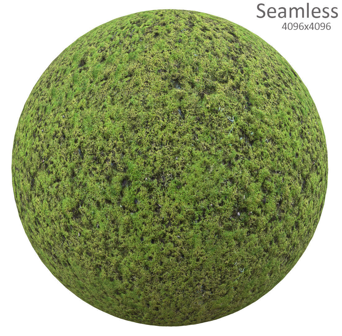 Texture moss texture VR / AR / low-poly | CGTrader