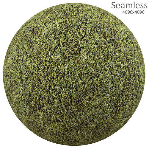 Texture moss texture VR / AR / low-poly | CGTrader