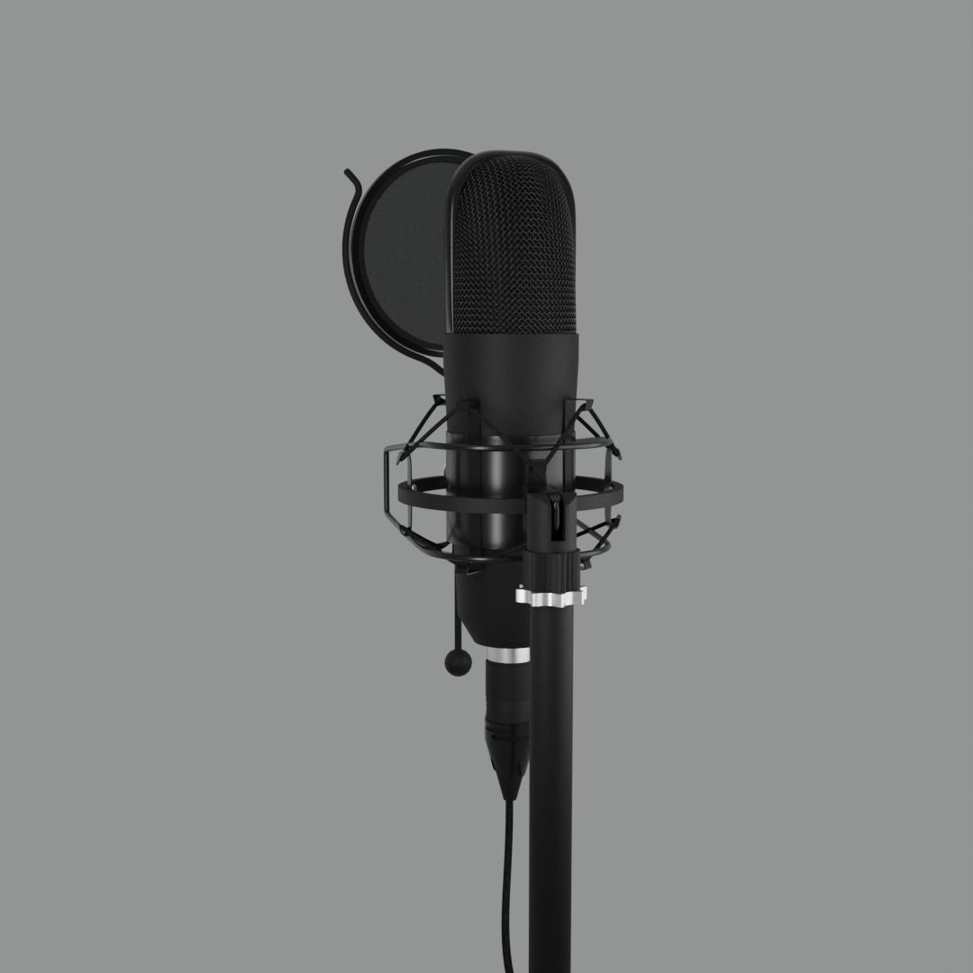 Mic with pop filter 3D model | CGTrader