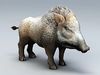 WILD HOHOL PIG 3D model | CGTrader