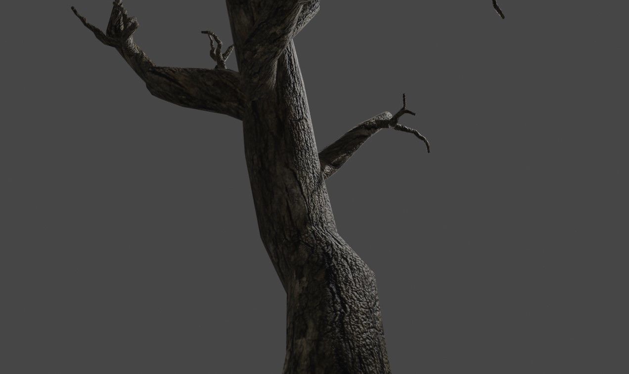 3D model Dry Tree - Arvore Seca VR / AR / low-poly | CGTrader
