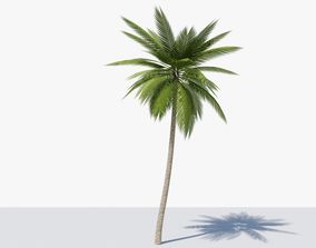 Date 3D Models | CGTrader