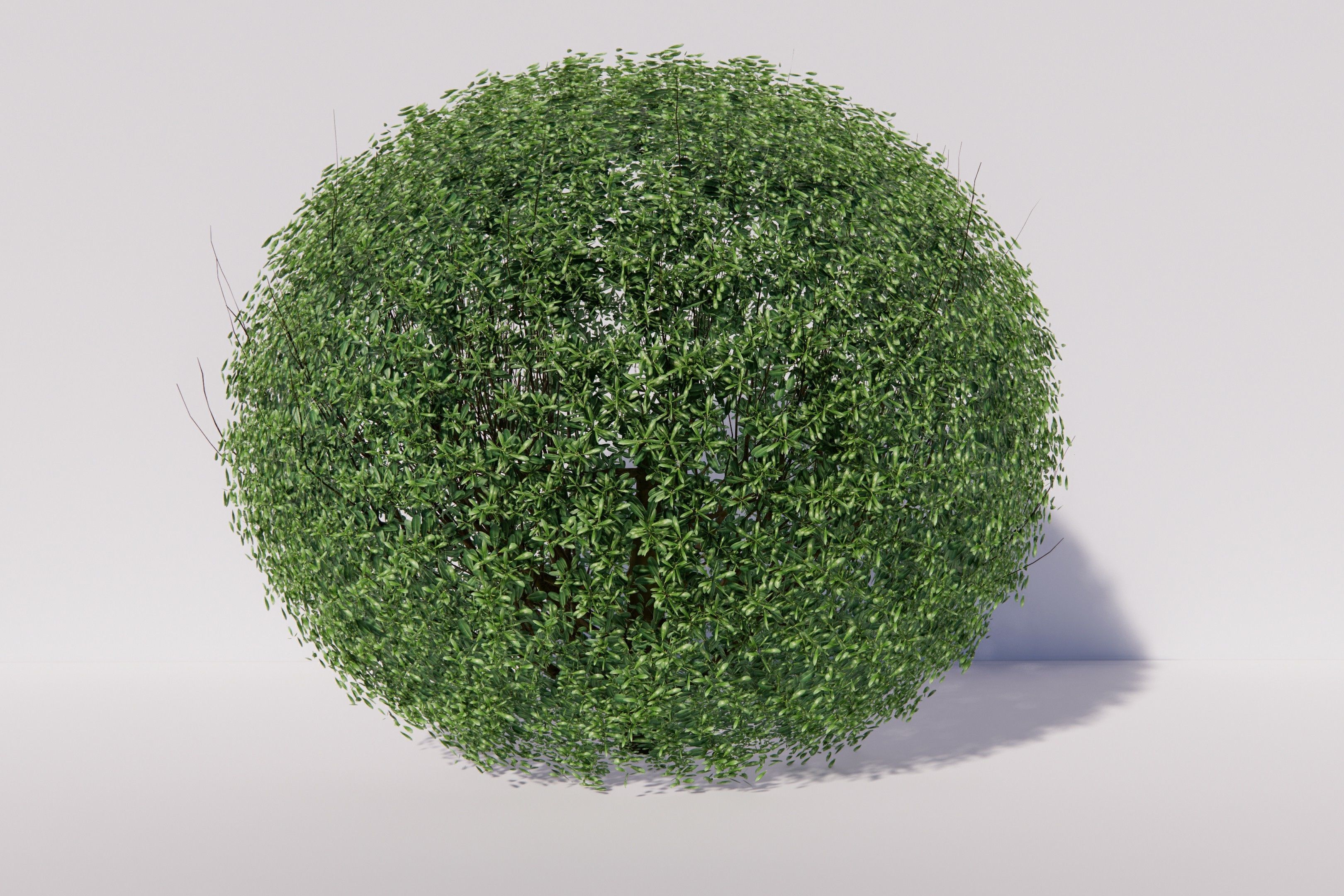 Bushballs hedges 3D model | CGTrader