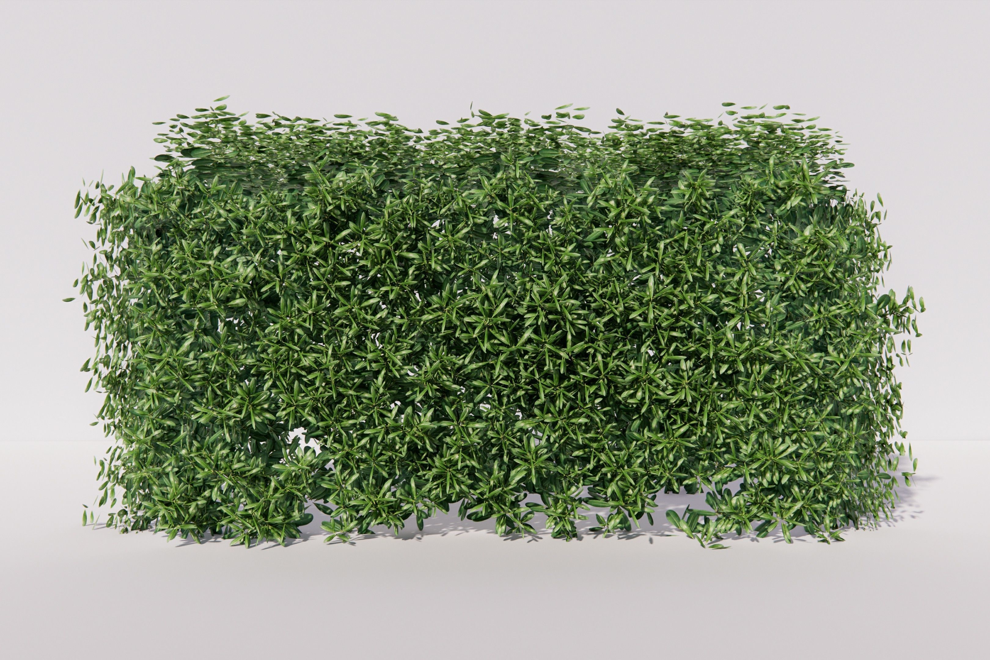 Bushballs hedges 3D model | CGTrader