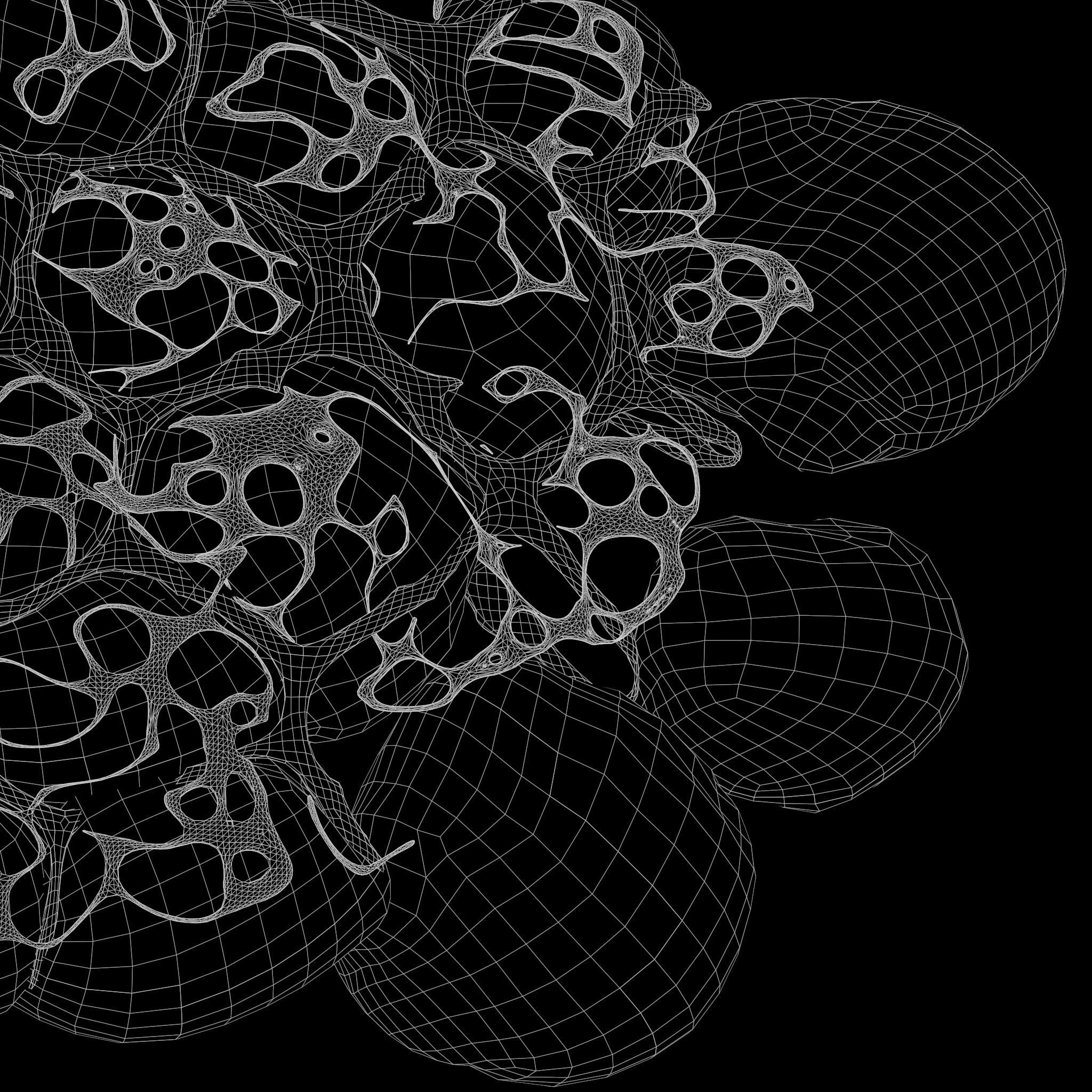 Fat Cell 3D model | CGTrader