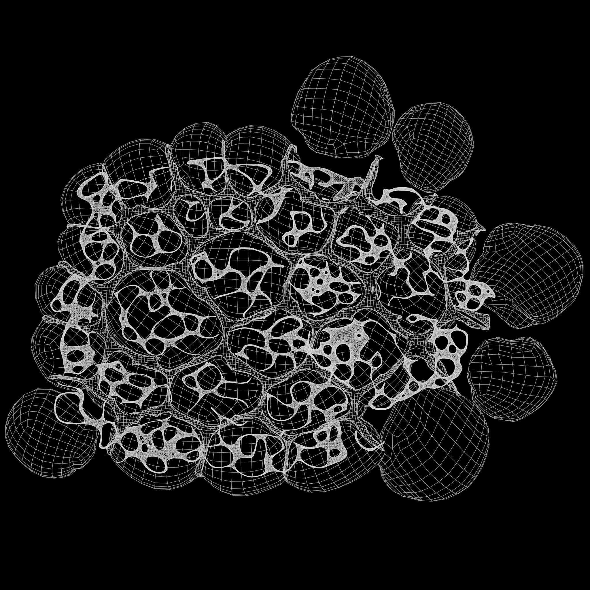 Fat Cell 3D model | CGTrader