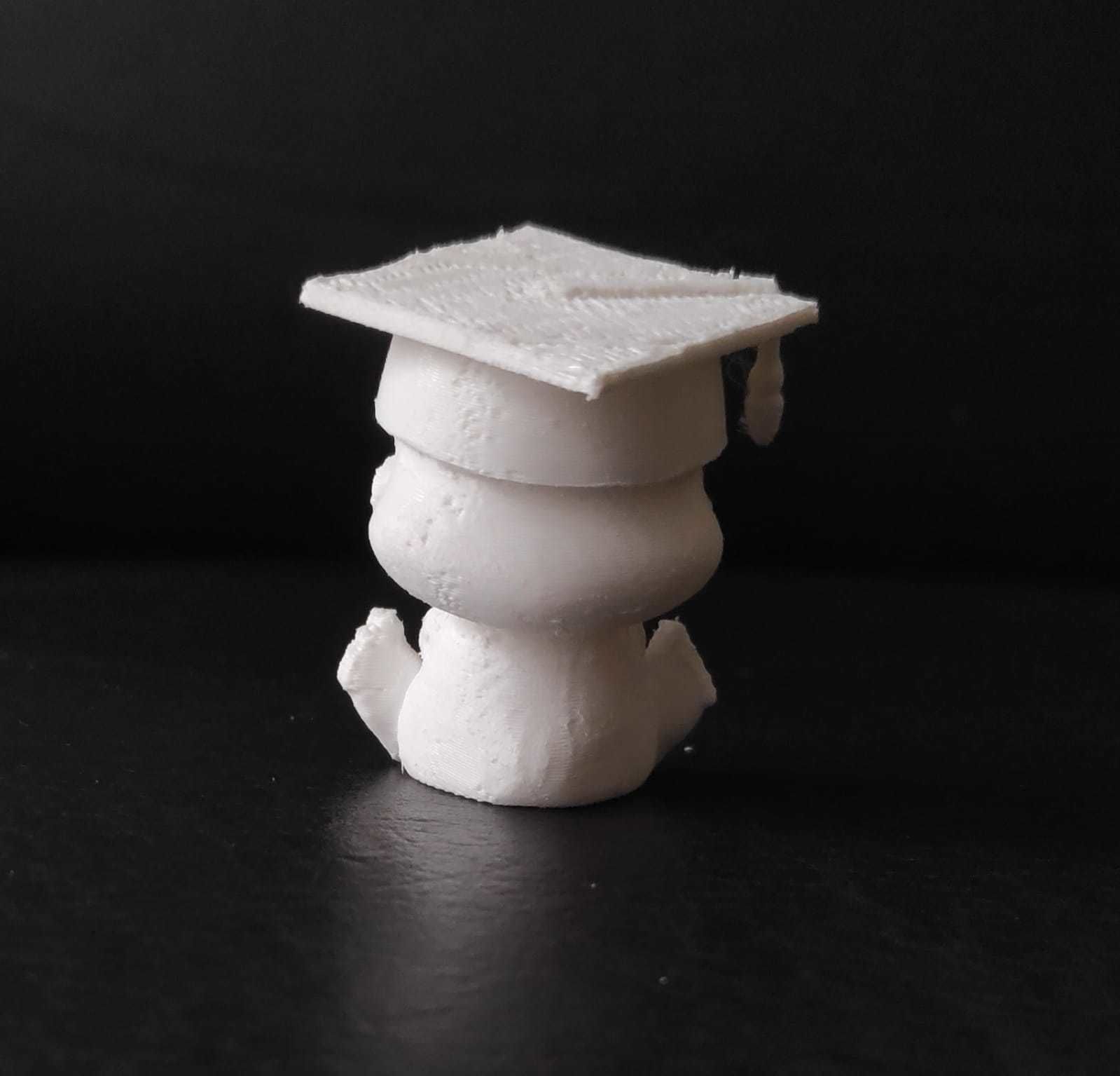 Little Graduate 3D model 3D printable | CGTrader