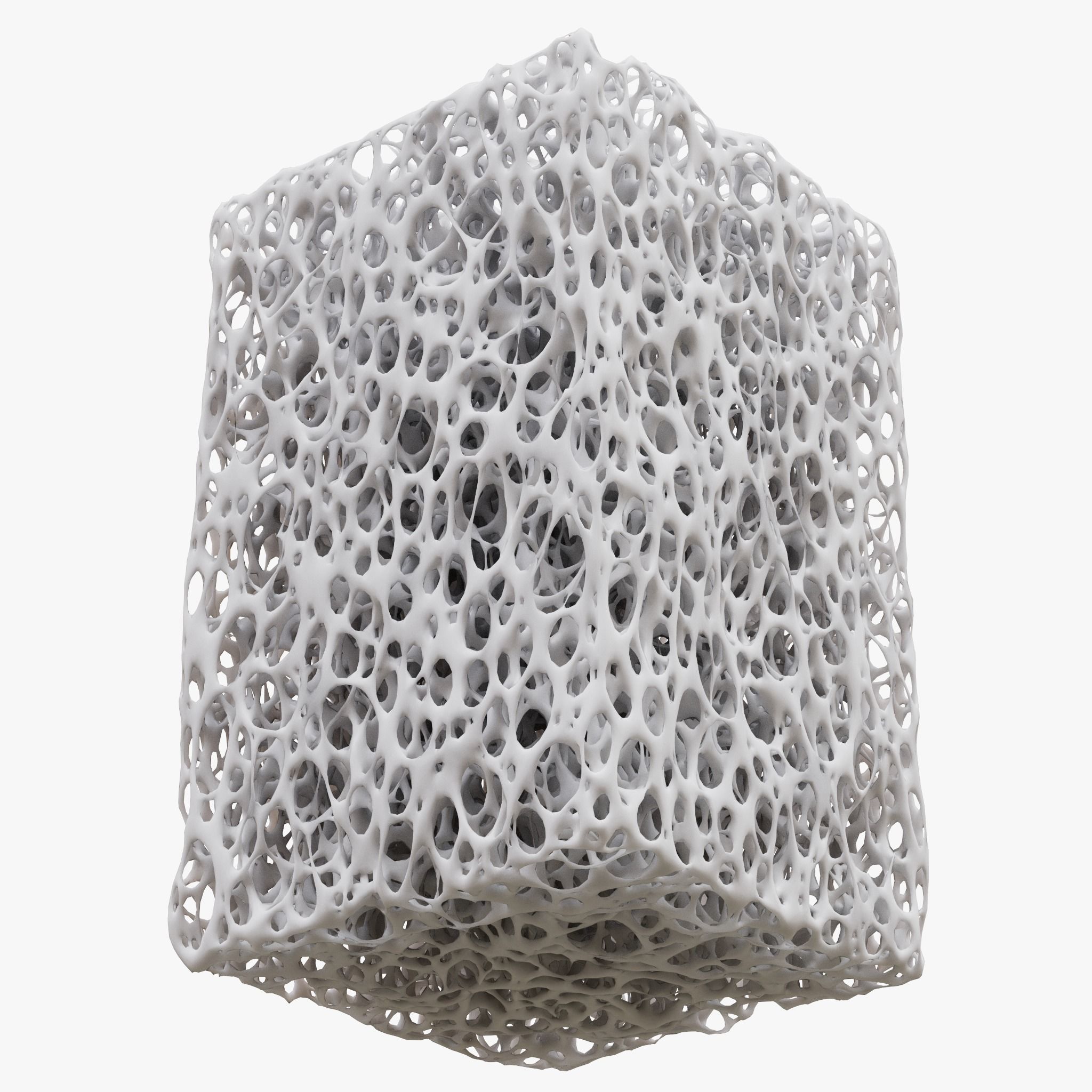 Bone Structure 3D model | CGTrader