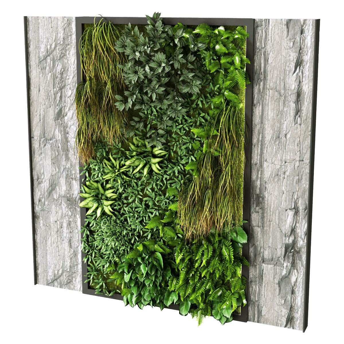vertical plant 154 3D model | CGTrader