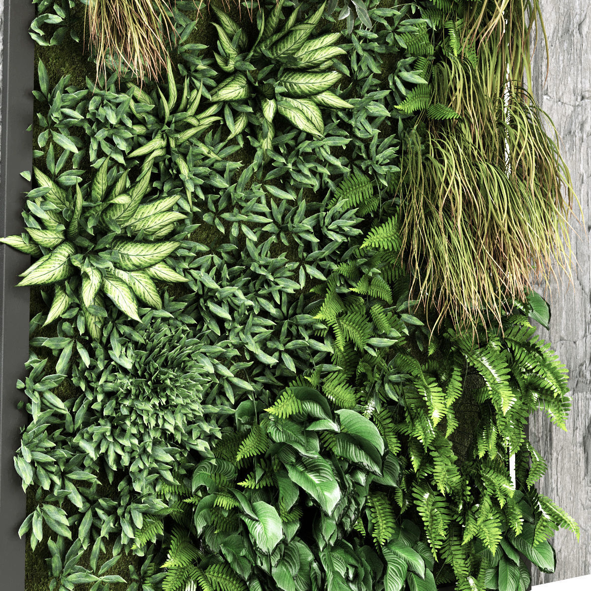 vertical plant 154 3D model | CGTrader